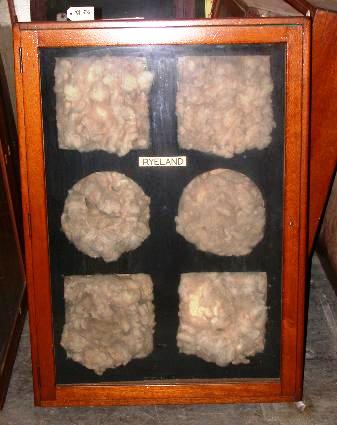 DISPLAY CASE - RYELAND WOOL SAMPLES | openEQUELLA