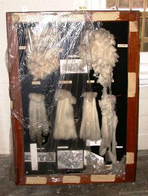 DISPLAY CASE - WOOL SAMPLES | openEQUELLA